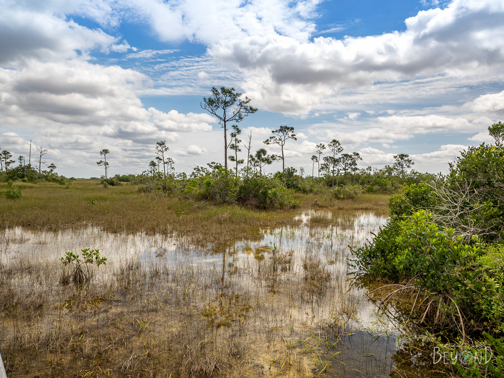 Complete Guide to 1 Day in Everglades National Park
