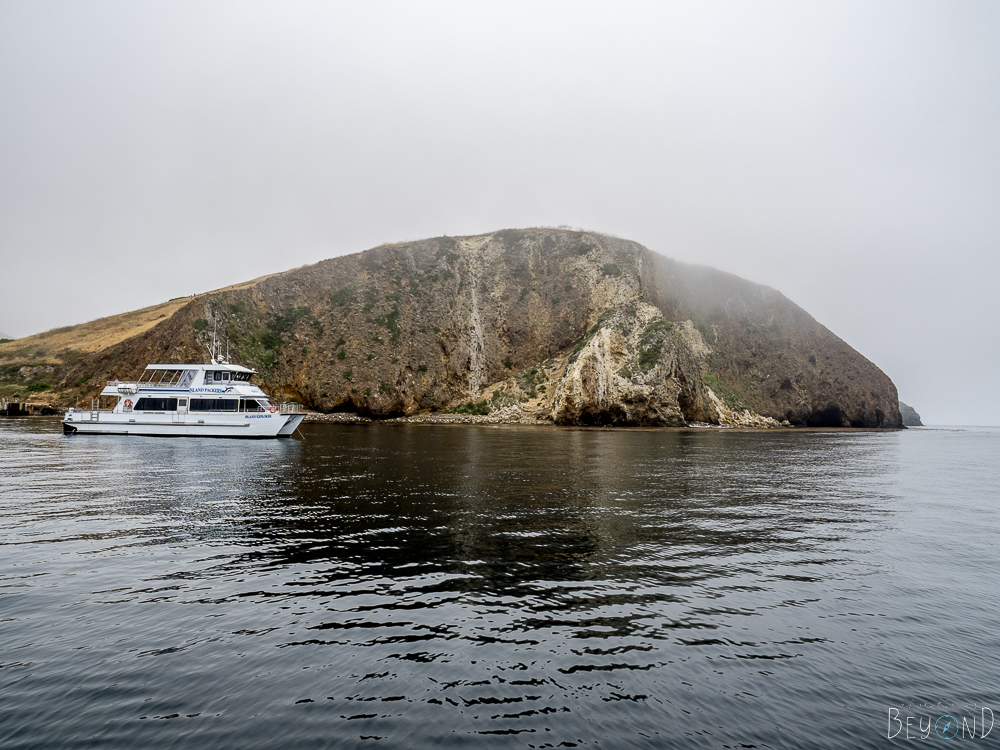 1 Stunning Day in Channel Islands National Park Adventuring Beyond